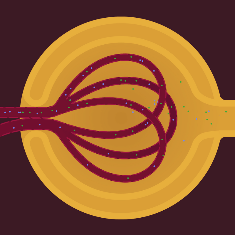 Explanimated by Megan Friesth